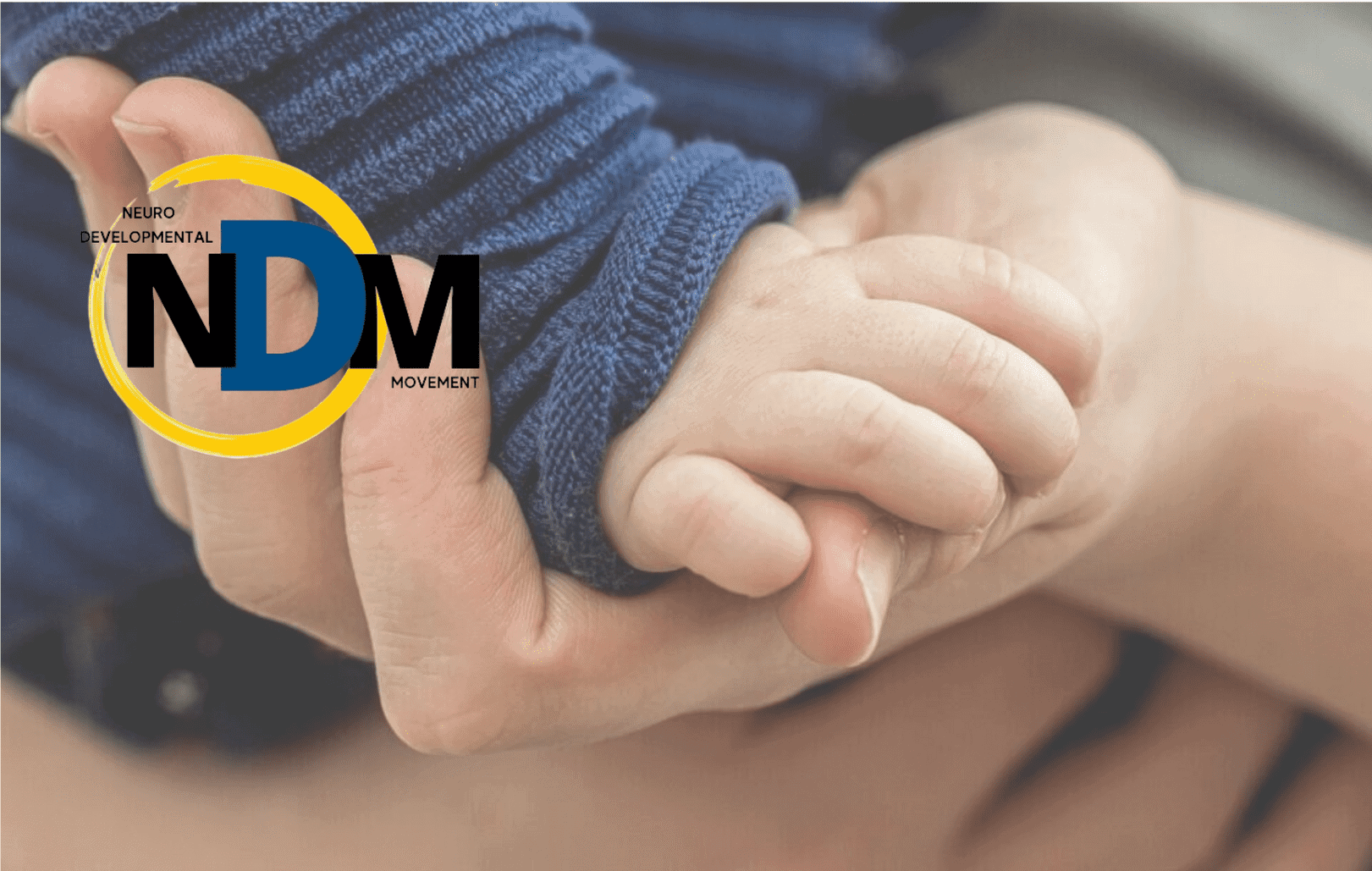 Foundations Training (Old) - NeuroDevelopmental Movement with Bette Lamont